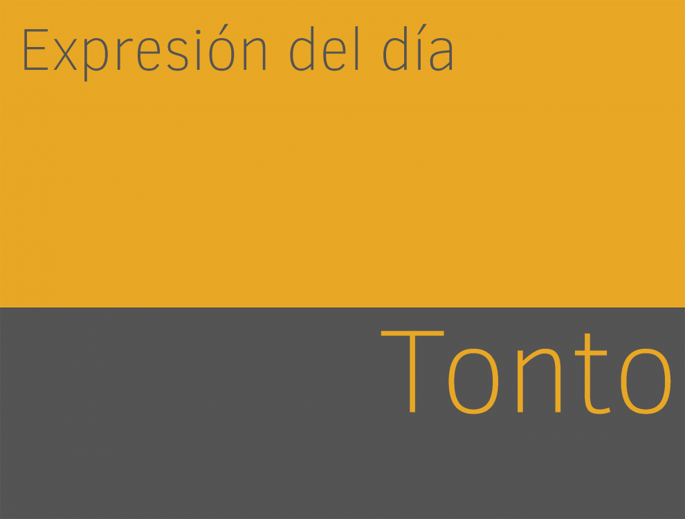 Expresiones de TONTO en inglés – English Mola