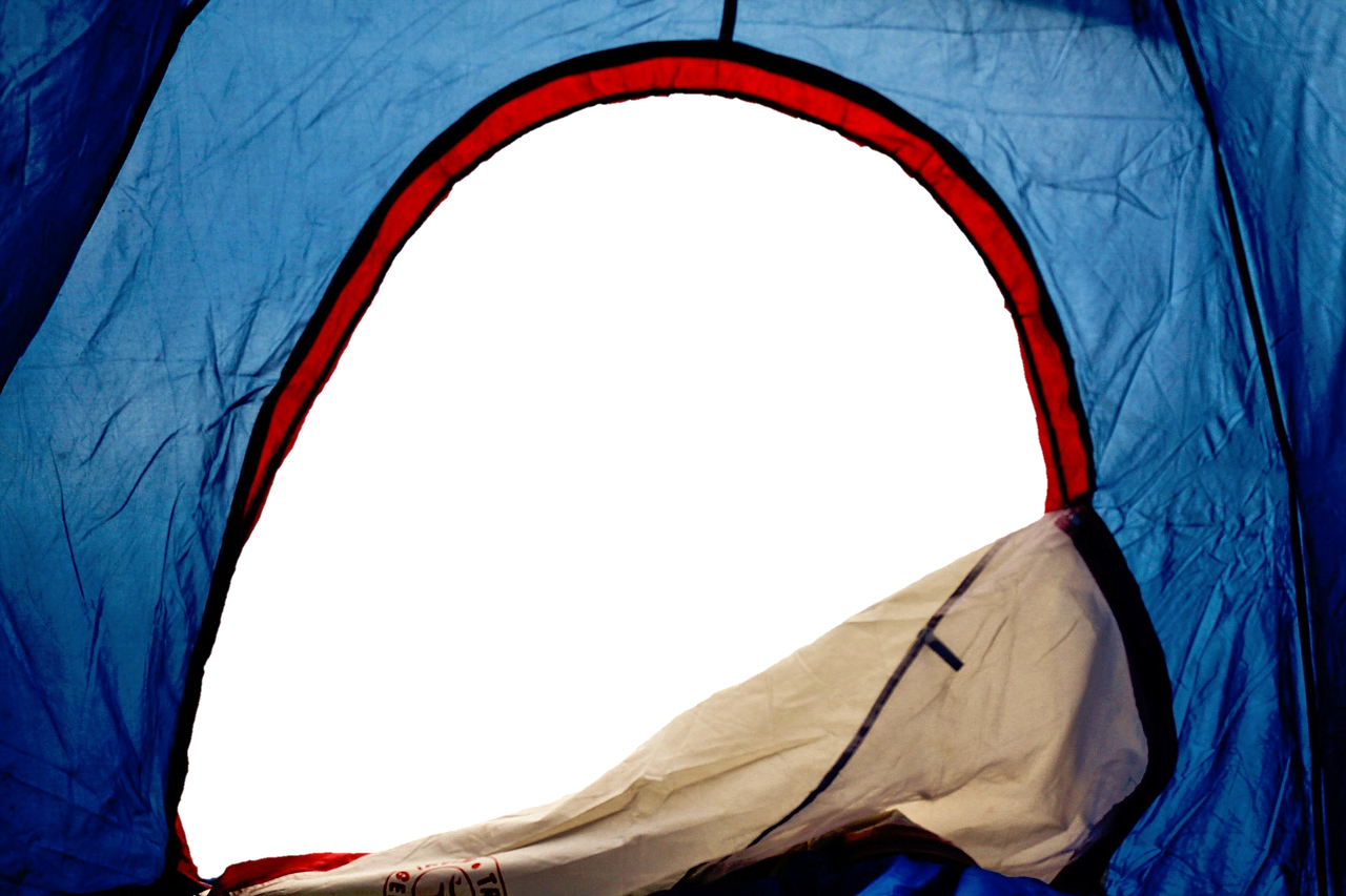 Joya Amor Metropolitano Carpa En Ingles Prefacio L rico Cicatriz Joya Amor Metropolitano Carpa En Ingles Prefacio L rico Cicatriz